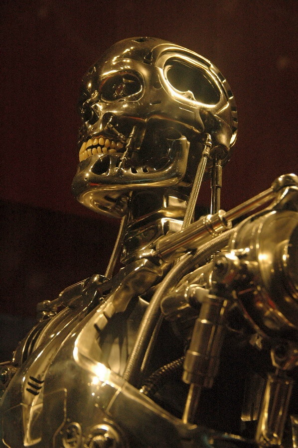 Picture of The Terminator (T-800)