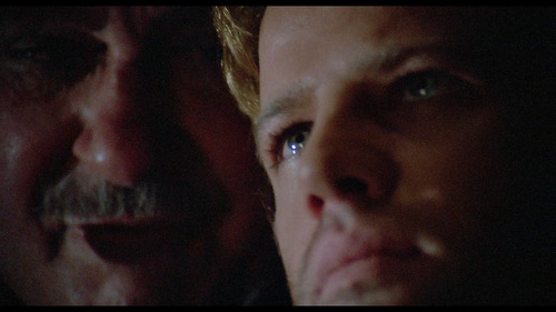 Picture of Highlander