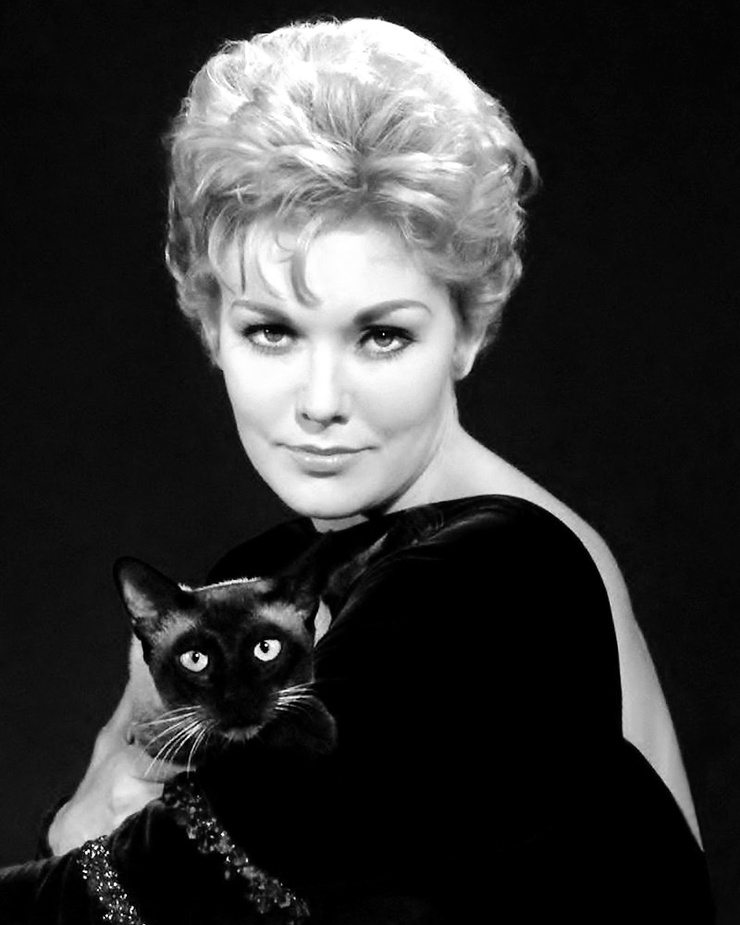 Bell, Book and Candle picture