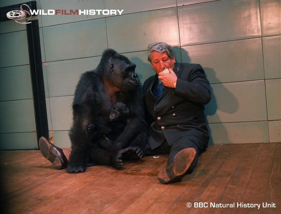 Picture of Animal Magic (1962-1984)