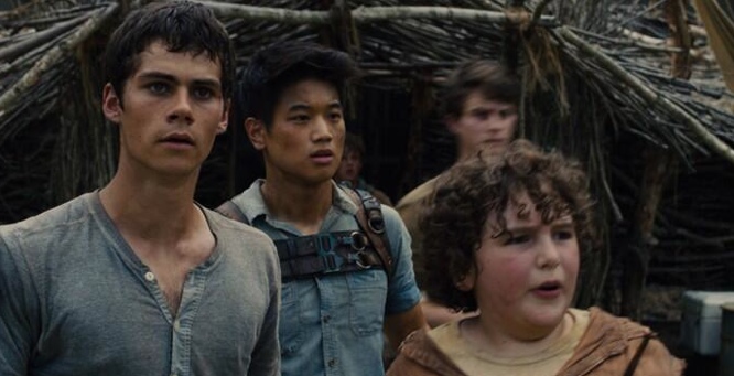 Picture of The Maze Runner