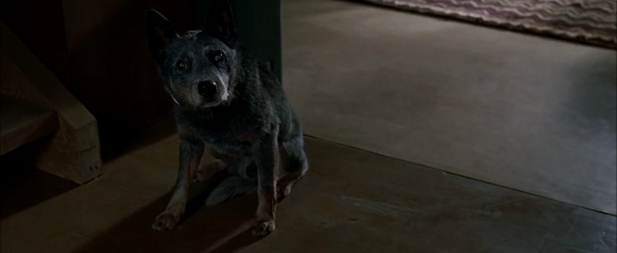 Picture of Secret Window