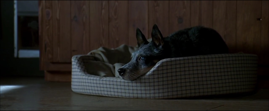 Picture of Secret Window