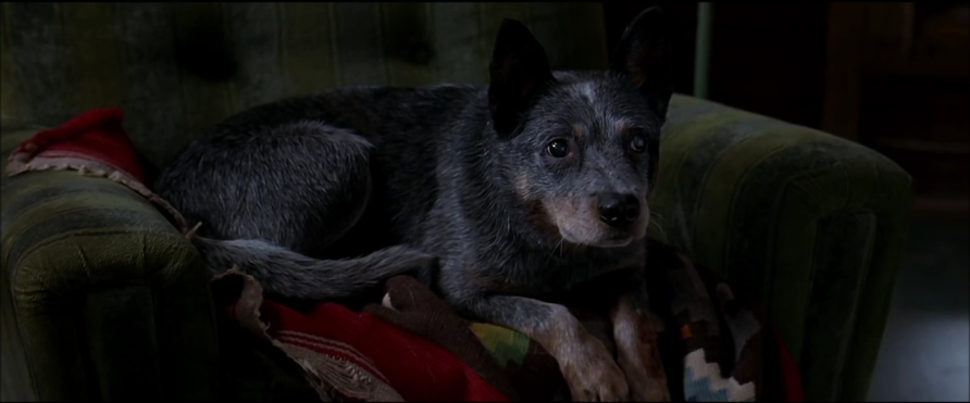 Picture of Secret Window