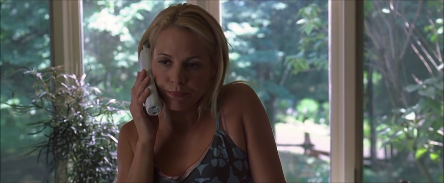 Secret Window picture