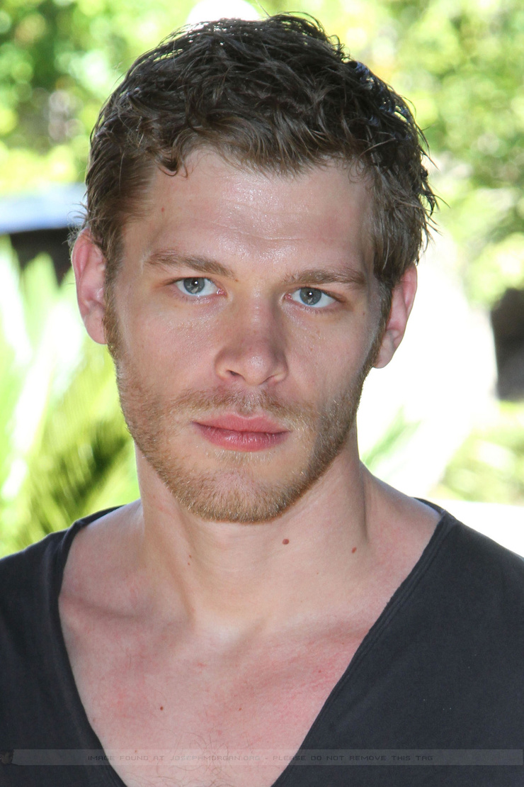 Joseph Morgan picture