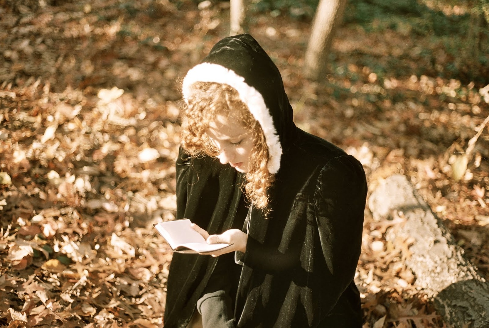 Picture of Alexandra Roxo