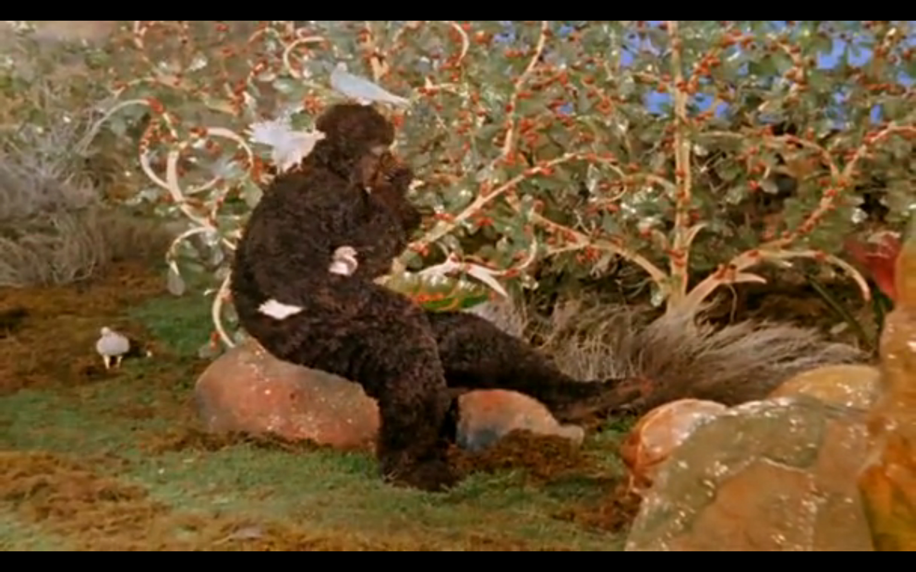 Picture of The Singing Ringing Tree