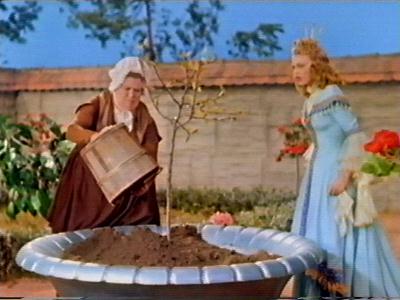 Image of The Singing Ringing Tree