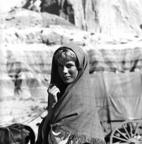 Picture of Bibi Andersson