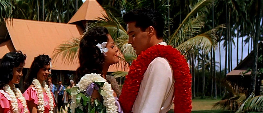 Picture of Blue Hawaii