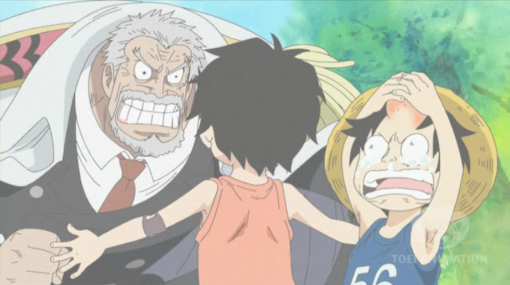 Picture of Monkey D. Garp