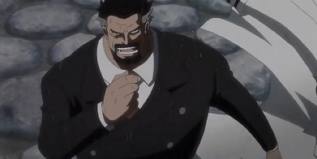 Picture of Monkey D. Garp