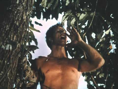 Picture of Tarzan (1966-1968)