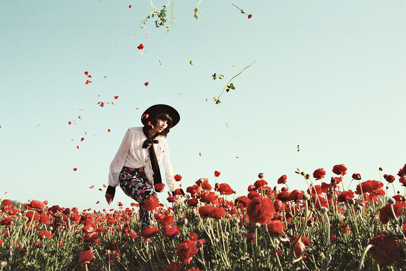 Picture of Langley Fox Hemingway