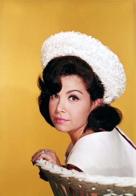Annette Funicello image