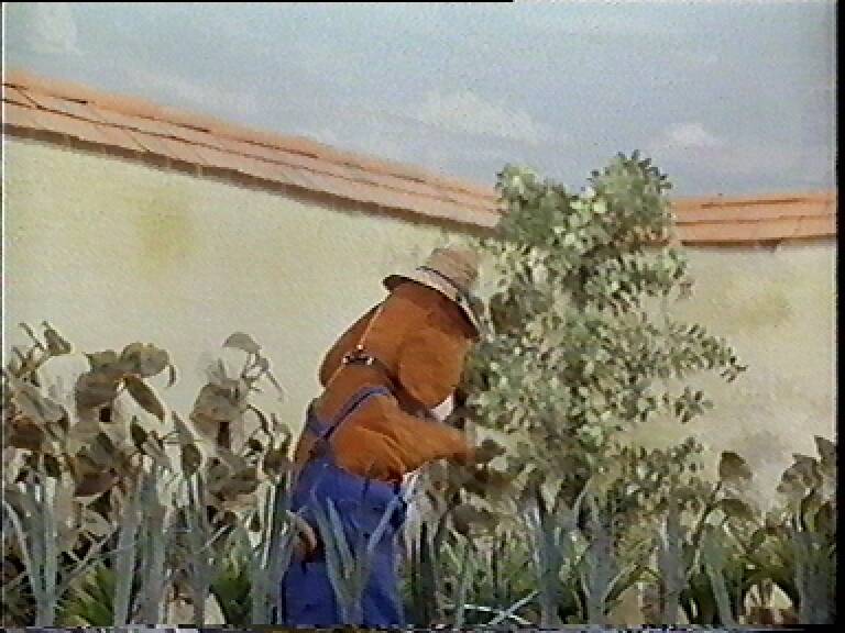 Hector