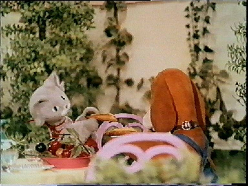 Zsa Zsa & Hector