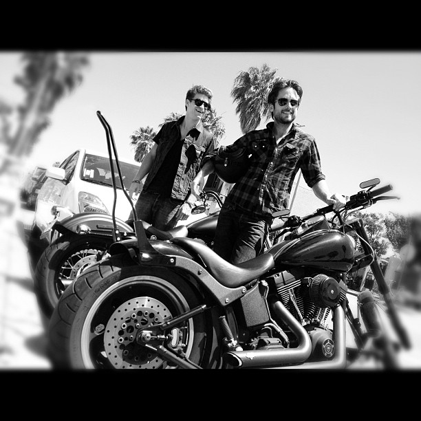 Picture of Justin Chatwin