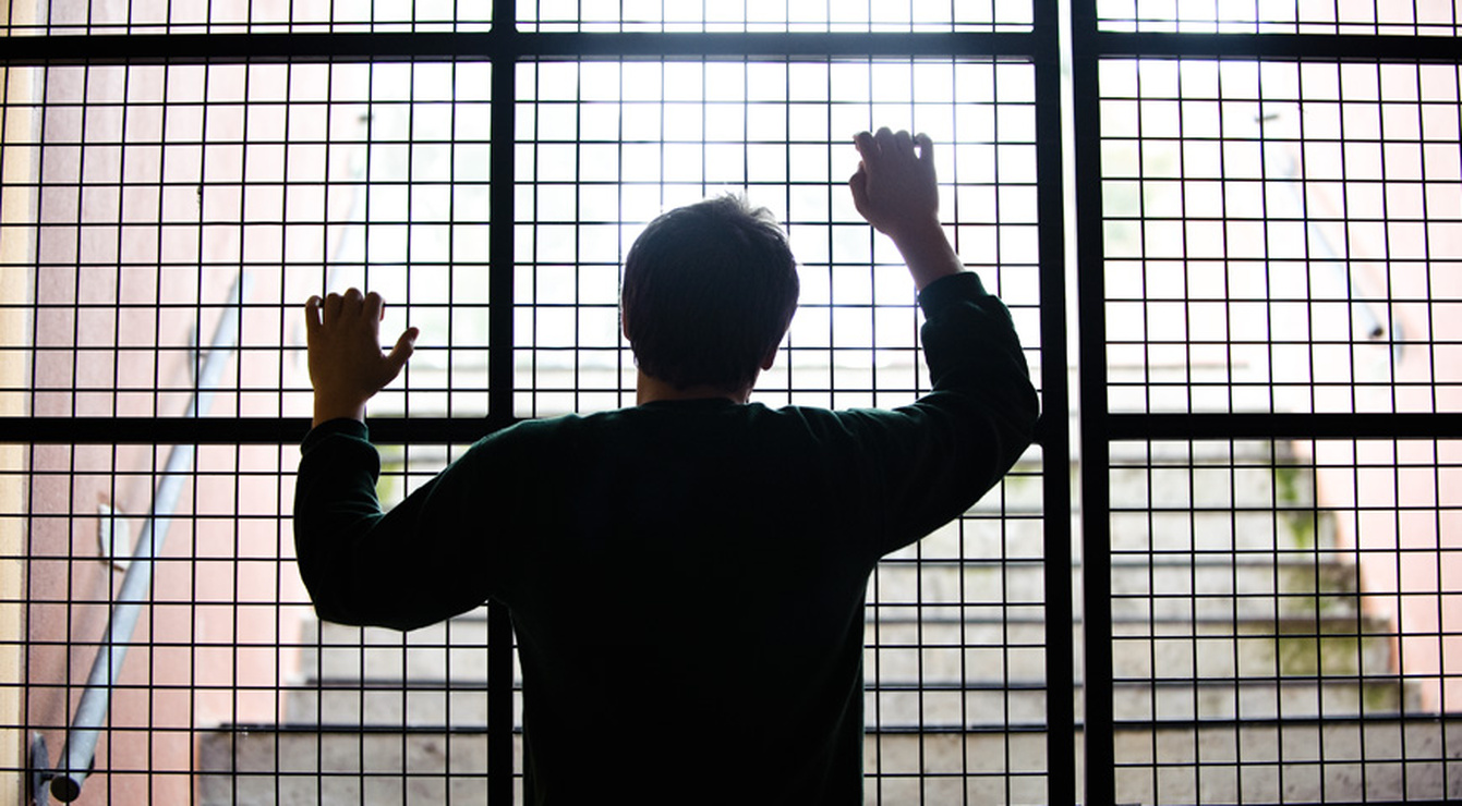 Image of The Wilding