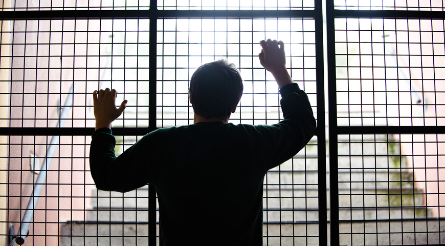 Image of The Wilding