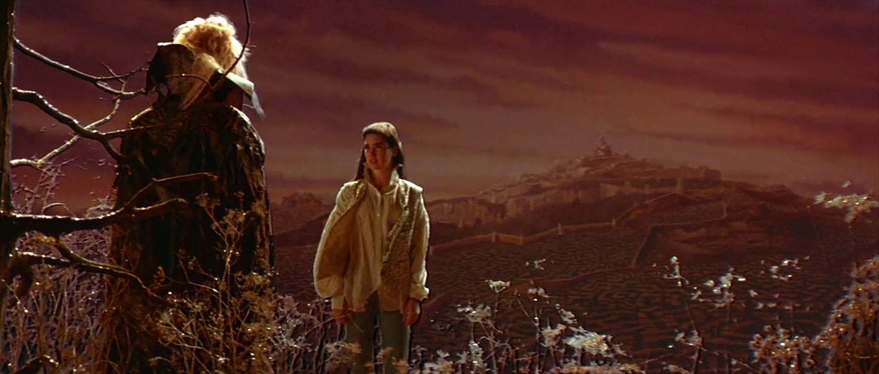 Labyrinth (1986) picture