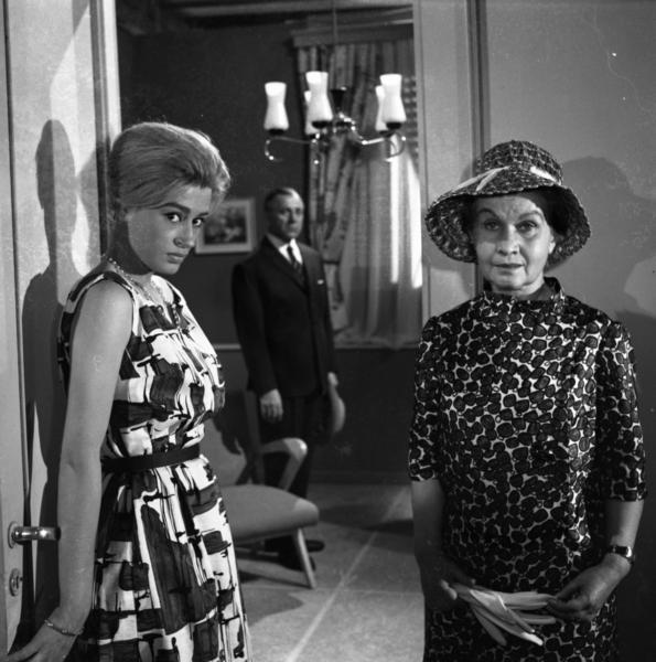 Picture of Horis taftotita