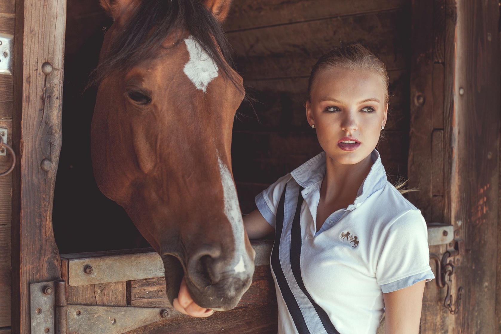 Picture of Taylor Johnson (II)