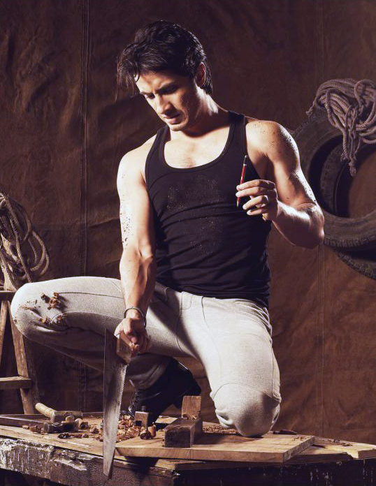 Ali Zafar picture