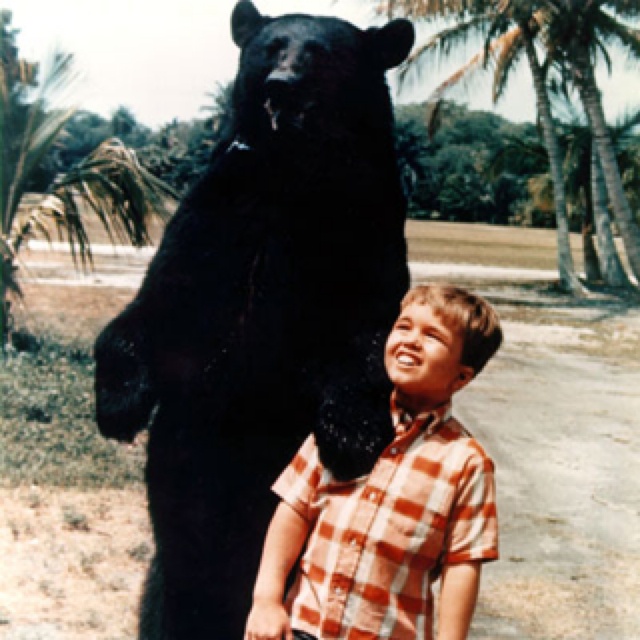 Picture of Gentle Ben