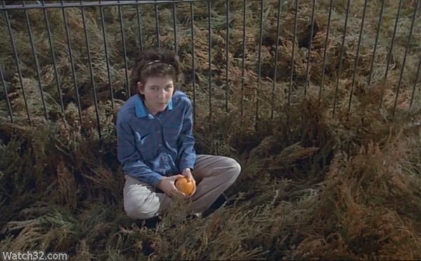 Picture of Paperhouse (1988)