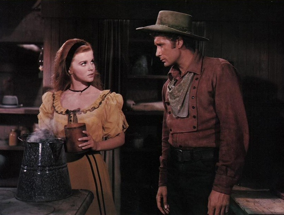 Picture of Stagecoach (1966)