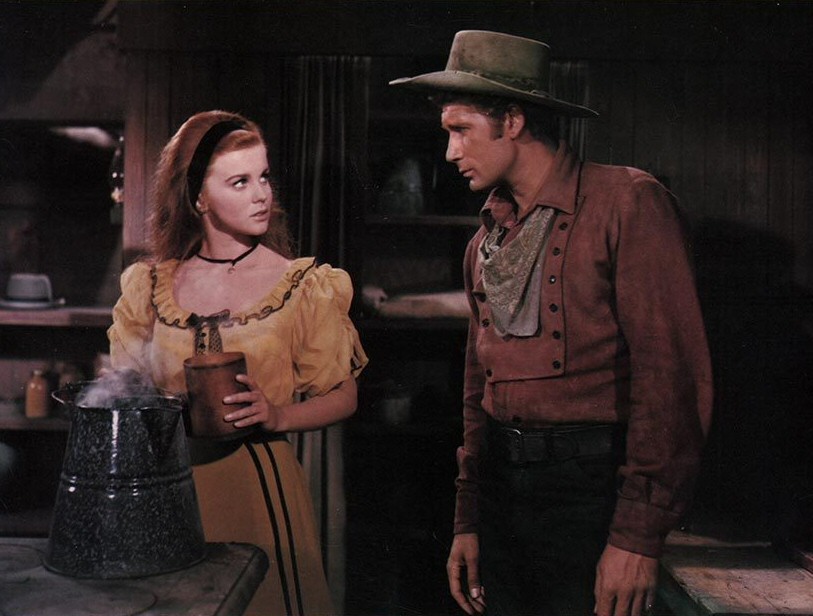 Picture of Stagecoach (1966)