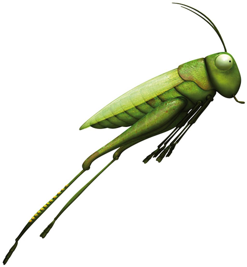 Picture of Minuscule