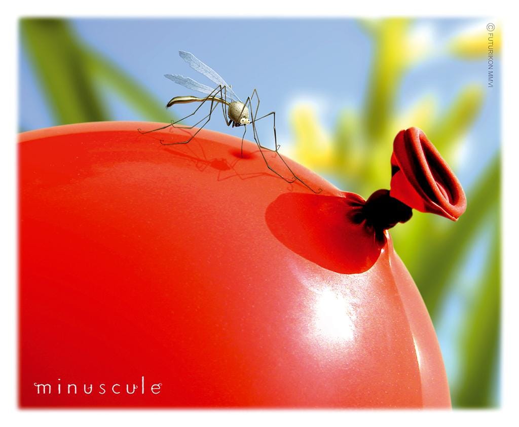 Picture of Minuscule