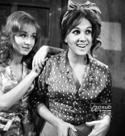 Picture of Ljerka Drazenovic