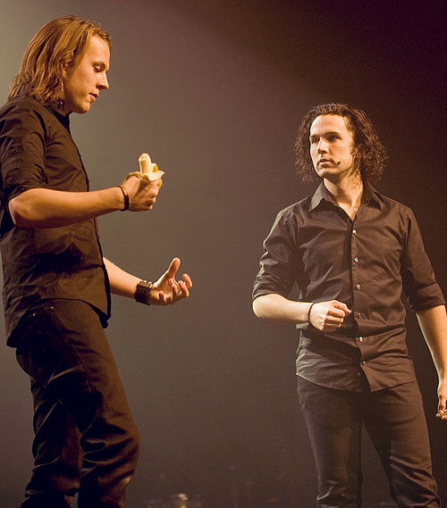 Picture of Ylvis