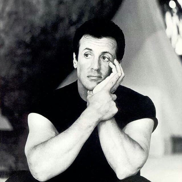 Picture of Sylvester Stallone