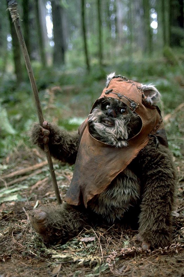 Picture of Wicket