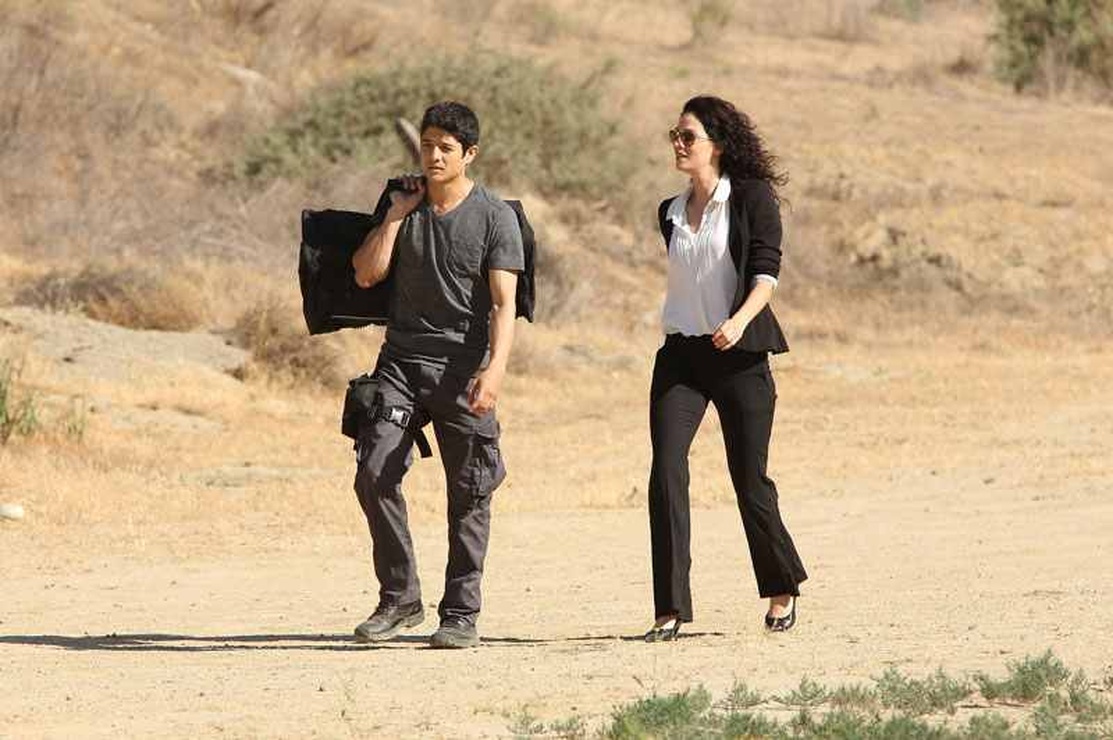 Picture of Extraction