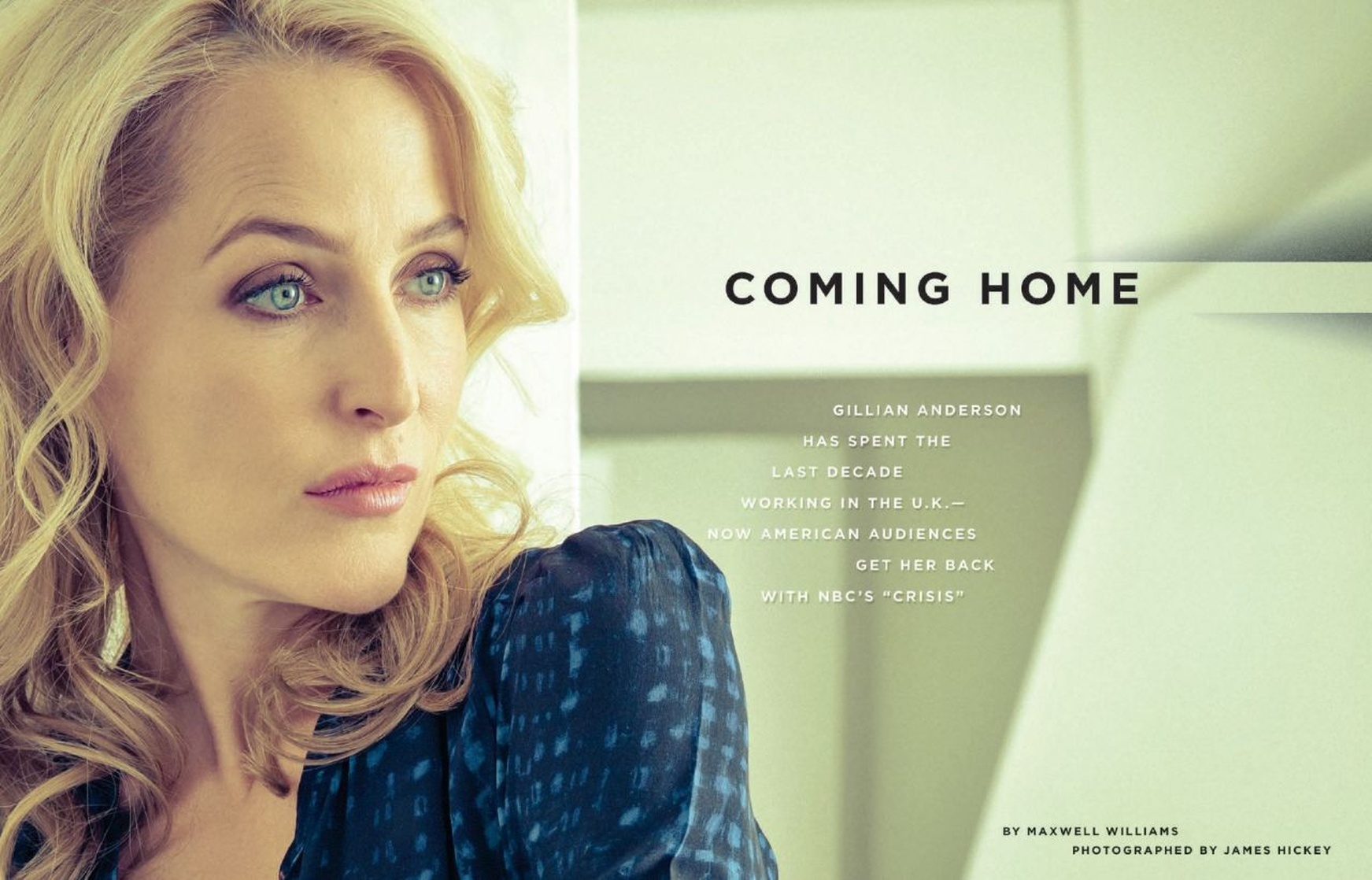 Picture of Gillian Anderson