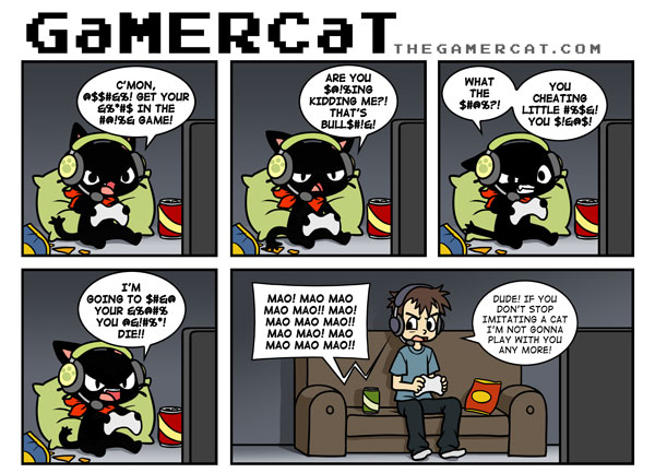 Picture of the GaMERCaT