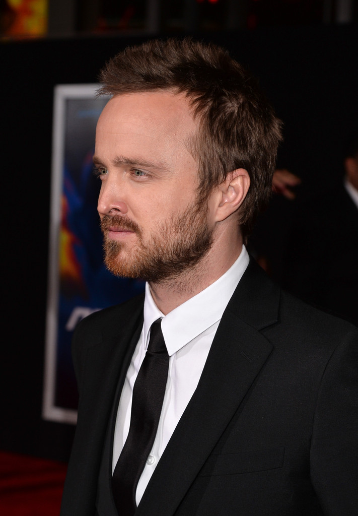 Picture of Aaron Paul