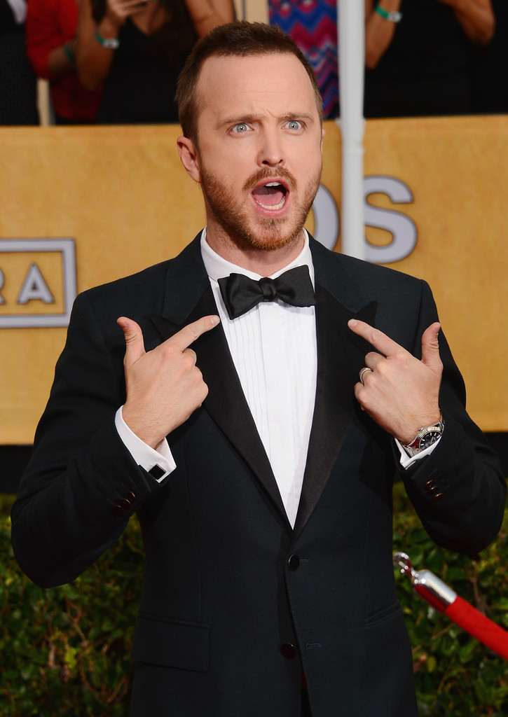 Aaron Paul image