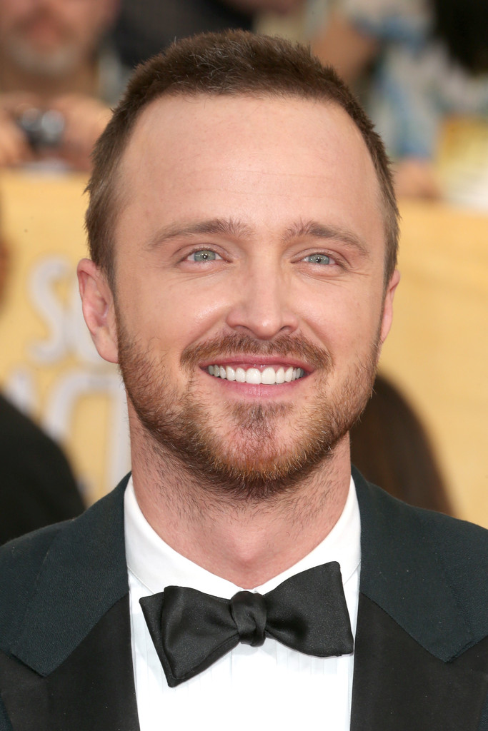 Picture of Aaron Paul