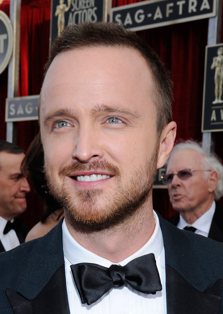 Picture of Aaron Paul