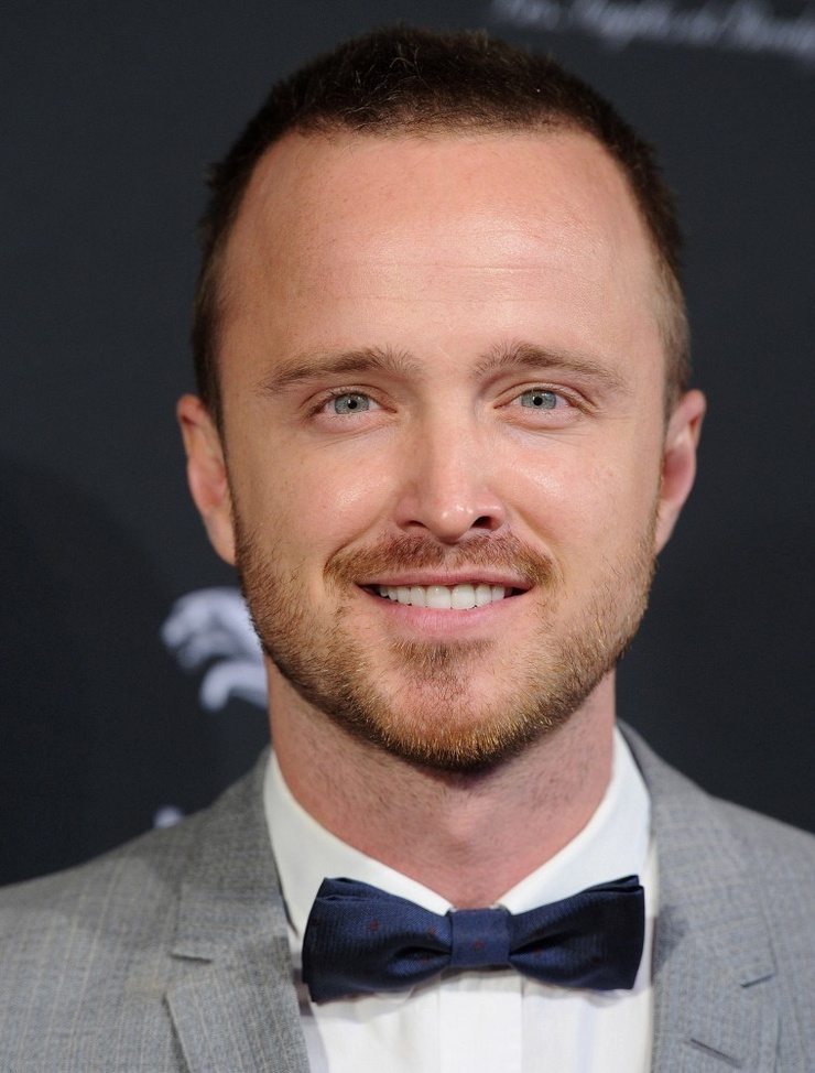 Picture of Aaron Paul