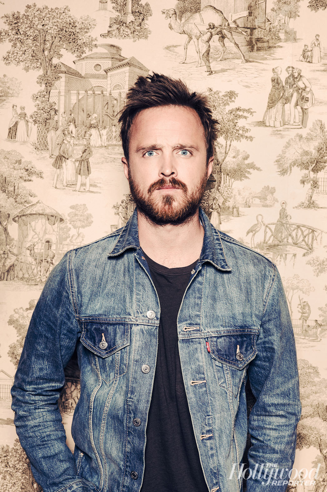 Picture of Aaron Paul