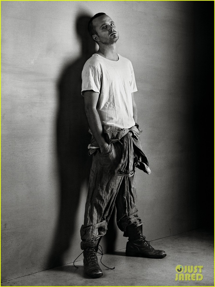 Picture of Aaron Paul