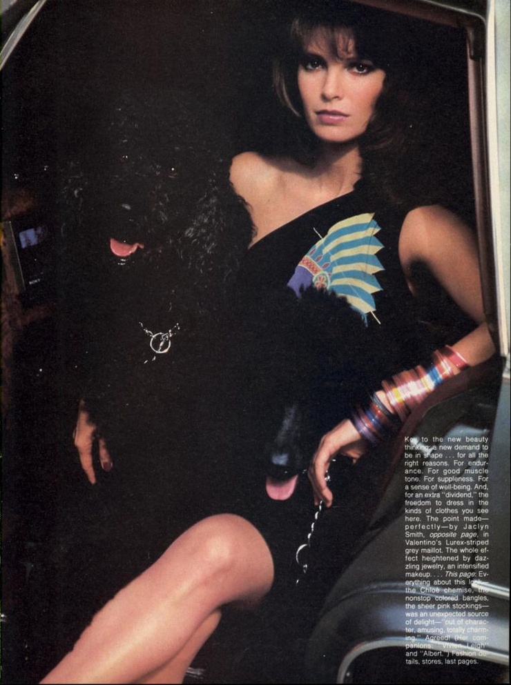 Picture of Jaclyn Smith